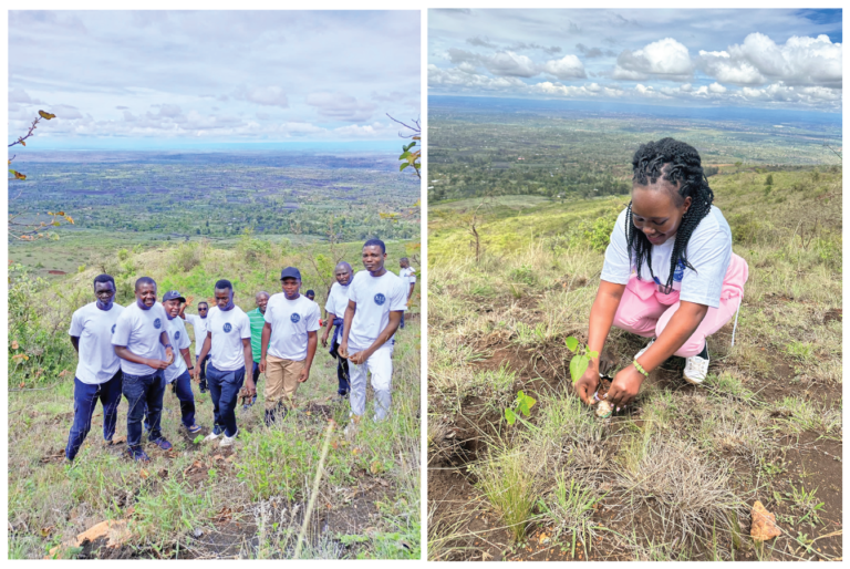 Planting 1400 Trees in Kilimambogo - Dawa Life Sciences
